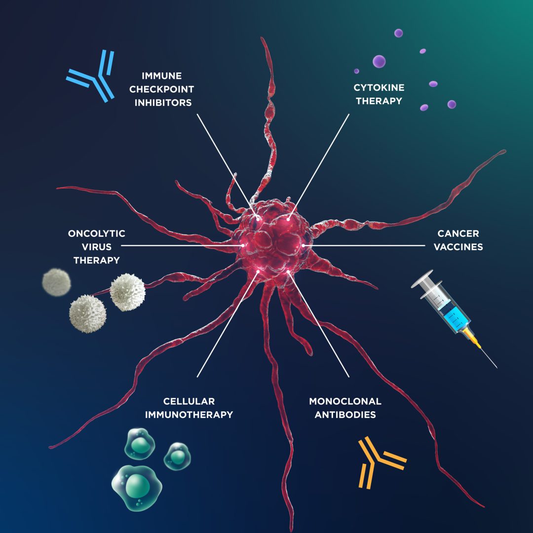 What Is Immunotherapy and How Does It Fight Cancer?
